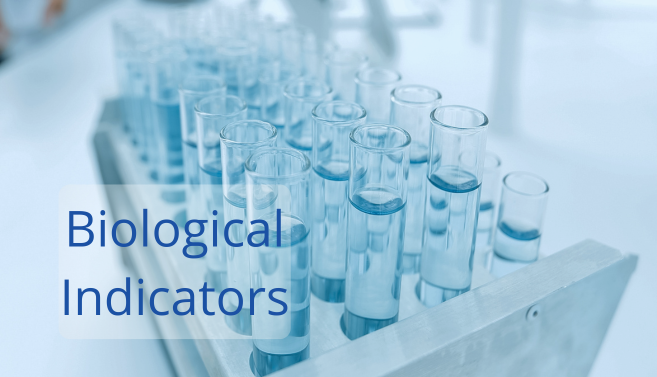 Choosing the Best BI for Your Facility